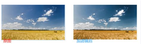 美颜滤镜效果对比 美颜滤镜怎么调最自然 会声会影中文官网