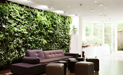 Цветы для озеленения города в интерьере 51 фото красивые картинки и