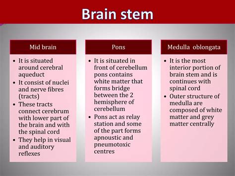 Nervous System Ppt Pptx Brain And Nervous System Disorders Diseases And Conditions
