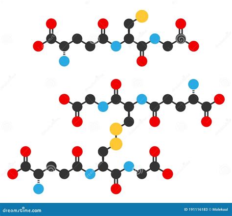 Glutathione Oxidized Glutathione Gssg Molecule 3d Rendering Atoms Are Represented As Spheres