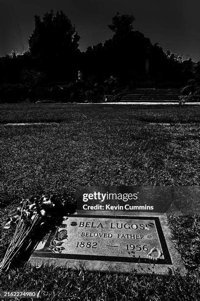 770 Bela Lugosi Photos And High Res Pictures Getty Images