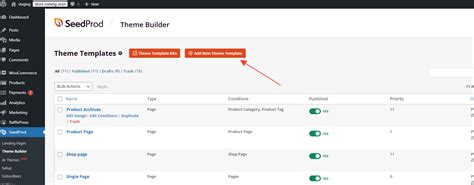 how to create an archive template seedprod