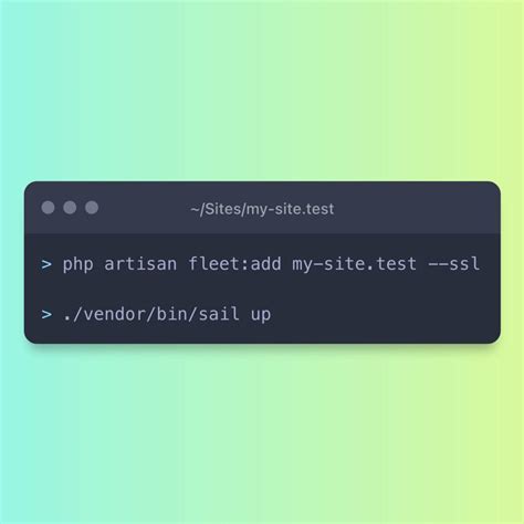 Run Multiple Laravel Sail Applications Locally With Fleet Php