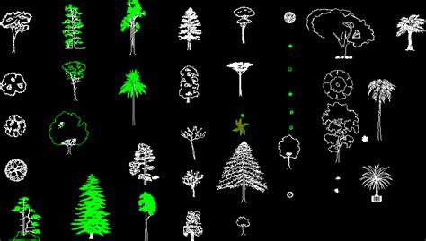 Trees DWG Block For AutoCAD Designs CAD Trees DWG Block For AutoCAD Designs CAD