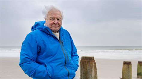 At 99 David Attenborough Releases Ocean The Most Urgent Film Of His Life — And It Might Be