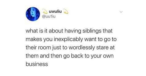Sibling Memes 50 Memes For All The Siblings Out There