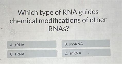 [answered] Which Type Of Rna Guides Chemical Modifications Of Other Kunduz