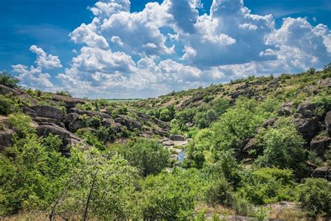 Arbuzinka Images - Free Download on Freepik