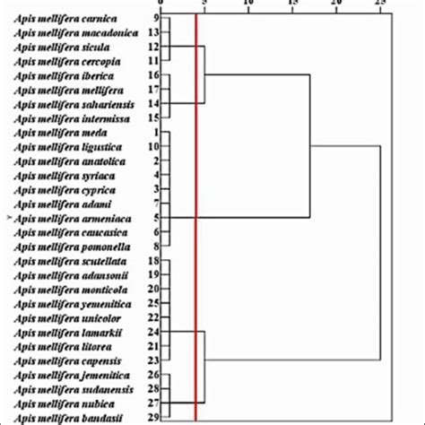 Phylogenetic Tree Based On Upgma Method To Compare Subspecies Of Apis Download Scientific