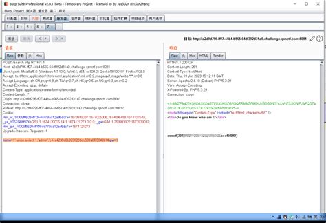 Ctfbabysqliwriteup User Union Select Test