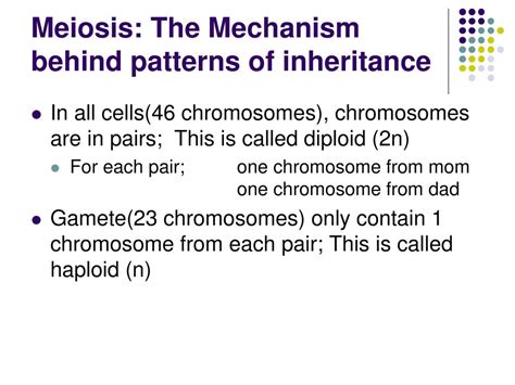 In What Are Gametes Define Meiosis Ppt Download