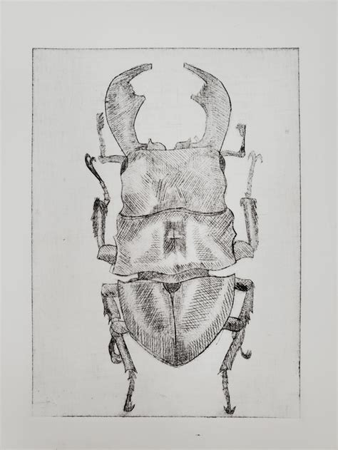Bug R Printmaking