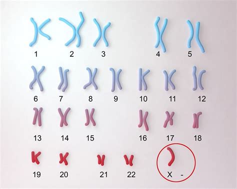 đột Biến Cấu Trúc Nst ở Người Tanggiap Tanggiapnet