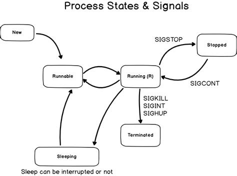 Process Understanding