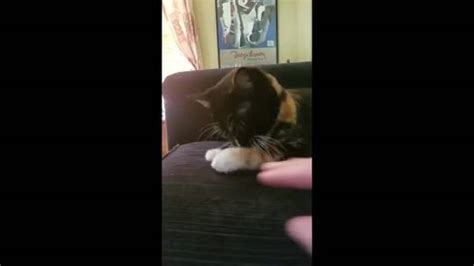 Yoshi Wont Let Me Win Slap Jack Scrolller