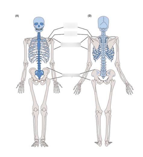 Quiz Diagram Quizlet