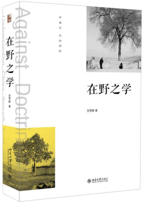 贺雪峰在野之学 武汉大学社会学院