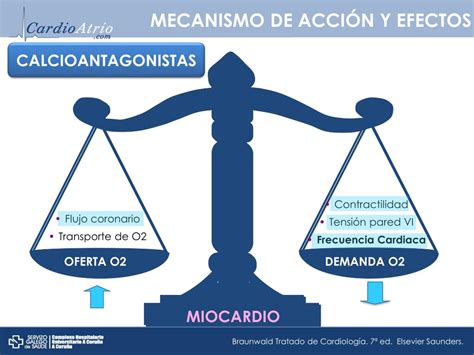 Ppt Calcioantagonistas E Ivabradina Powerpoint Presentation Free