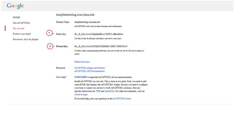 Js Animated How To Activate Captcha Recaptcha Template Monster Help