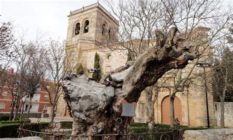 Soria And The Route Of The Poet Antonio Machado