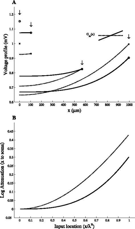 figure 1 from the eect of the synaptic input on computational processes