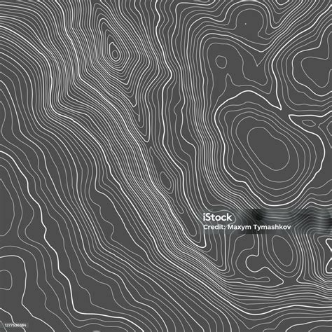 ベクトル輪郭地形図の背景地形と地理マップグリッドの抽象的な背景ビジネスコンセプトベクトルの図 アイコンのベクターアート素材や画像を多数ご