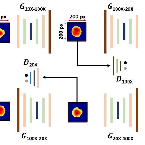 Schematic Of Cycle Gan Model Applied For Super Resolving The Phase