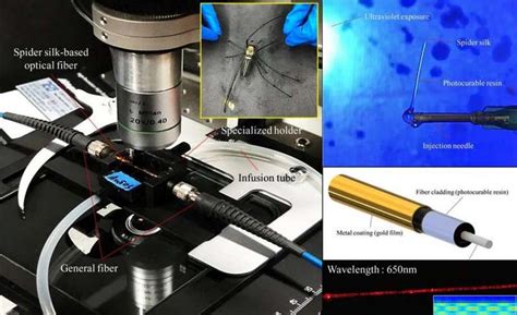 Spider Silk Polyamide Polymers Applications In Self Assembly Nanotechnology Biosensors Vaccine
