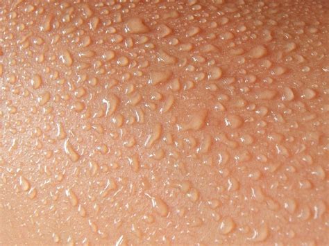 Leukemia Symptoms You Shouldn T Ignore Reader S Digest