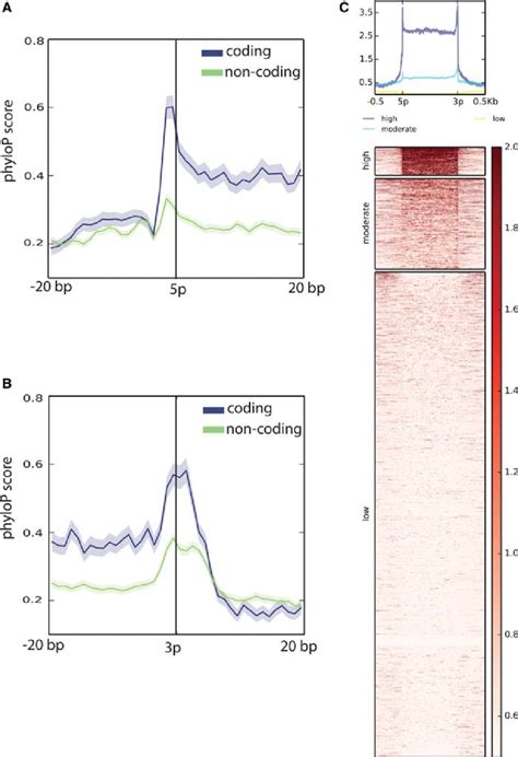 Evolutionary Conservation Of Hq Spliced Exons Not Overlapping Previous
