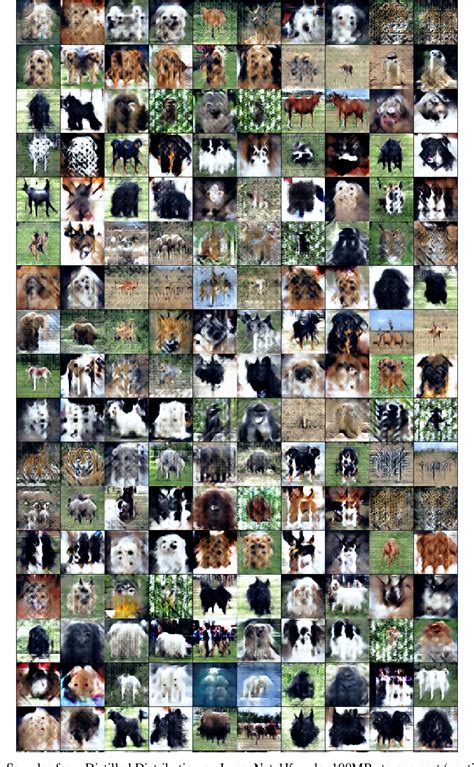 Figure 10 From Distributional Dataset Distillation With Subtask Decomposition Semantic Scholar