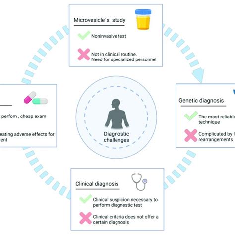 Main Methods For The Diagnosis Of Gitelman And Bartter Syndromes Each Download Scientific