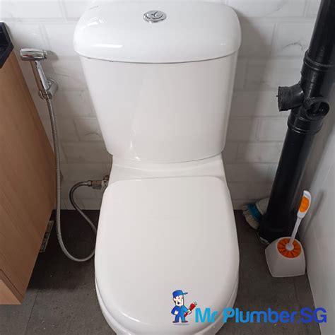Toilet Bowl Installation Singapore At Janelle Mayo Blog