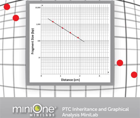Ptc Inheritace And Graphical Analysis Minilab M3012tae • Minione
