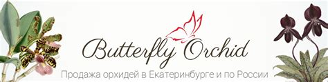 Butterfly Orchid | Орхидеи в Екатеринбурге | ВКонтакте