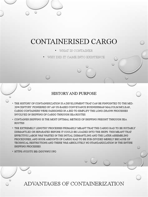 Containerised Cargo What Is Container Why Did It Came Into Existence Pdf Containerization