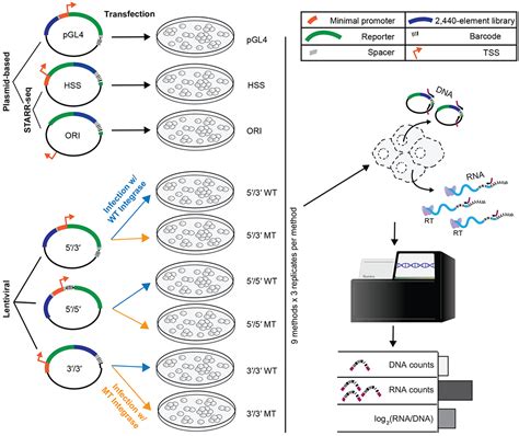 A Systematic Evaluation Of The Design And Context Dependencies Of