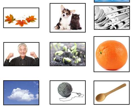 Ks1 Science Living And Dead Teaching Resources