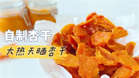 自制杏干and杏子酱and杏子冰饮大热天晒杏干健康又美味 Youtube