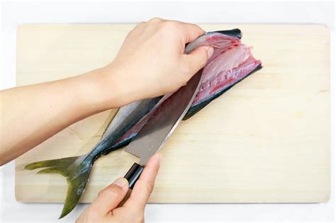 【魚のさばき方】アジで挑戦！二枚おろし＆三枚おろしの方法 記事詳細｜infoseekニュース