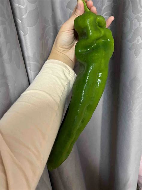 美团优选你没事吧！ 花瓣网