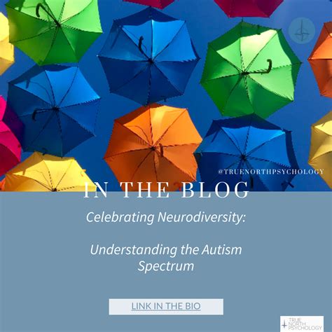 Audhd Understanding The Intersection Of Autism And Adhd