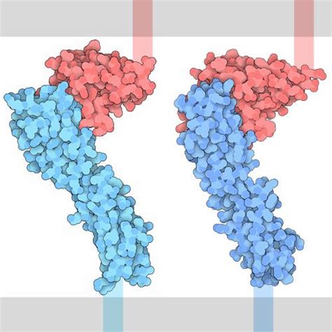 pdb 101 home page home biochemistry novelty
