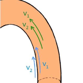 Schematic Showing The Internal And External Shear Scenarios Given In Download Scientific