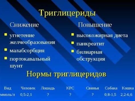 Триглицериды в крови повышены: что это значит, норма у женщин и мужчин ...