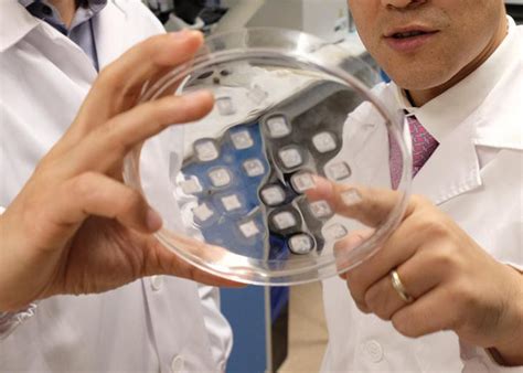 Scientists Develop A Skin Patch That Could Help Reduce ‘bulging Tummy