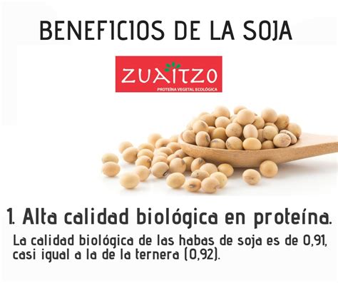 grandes beneficios de la soja ZUAITZO SABOR Y SALUD Empresa Alimentación Ecológica