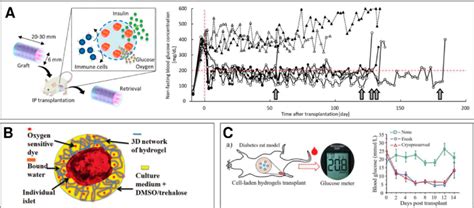 Microfluidics Assisted Pancreatic Microtissues Continued A Download Scientific Diagram