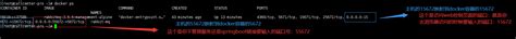 Rabbit Health Check Failed Csdn博客