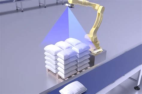 Vision Guided Robotics For Palletizing Solutions Mrdvs